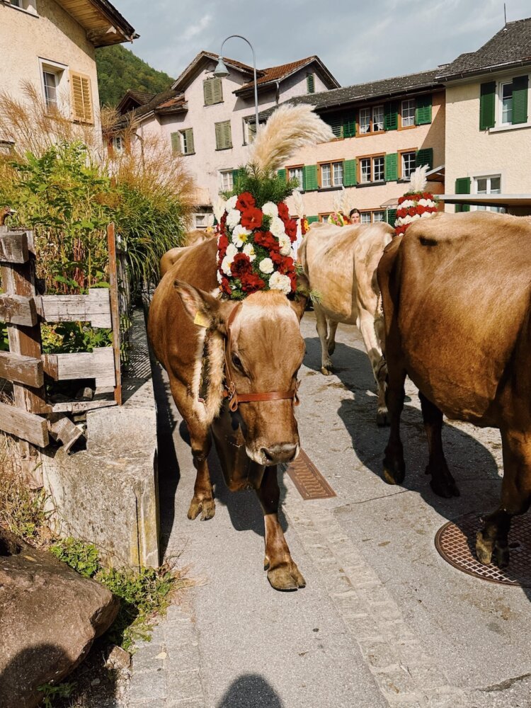 10 Fun Things to Do in Switzerland in September (An Autumn Travel Guide ...