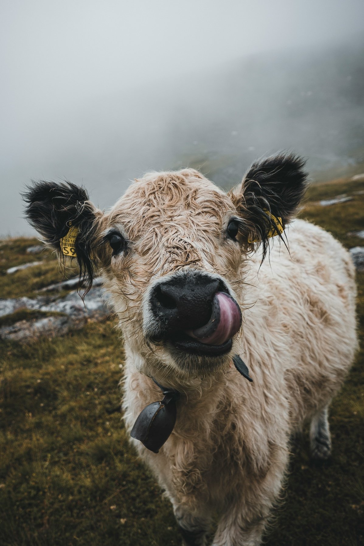 11 Unique Things to Do in Switzerland in September (An Autumn Travel ...