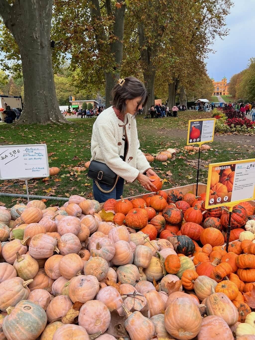 Germany's Largest Pumpkin Festival (Your Guide to Ludwigsburg) - Linds ...